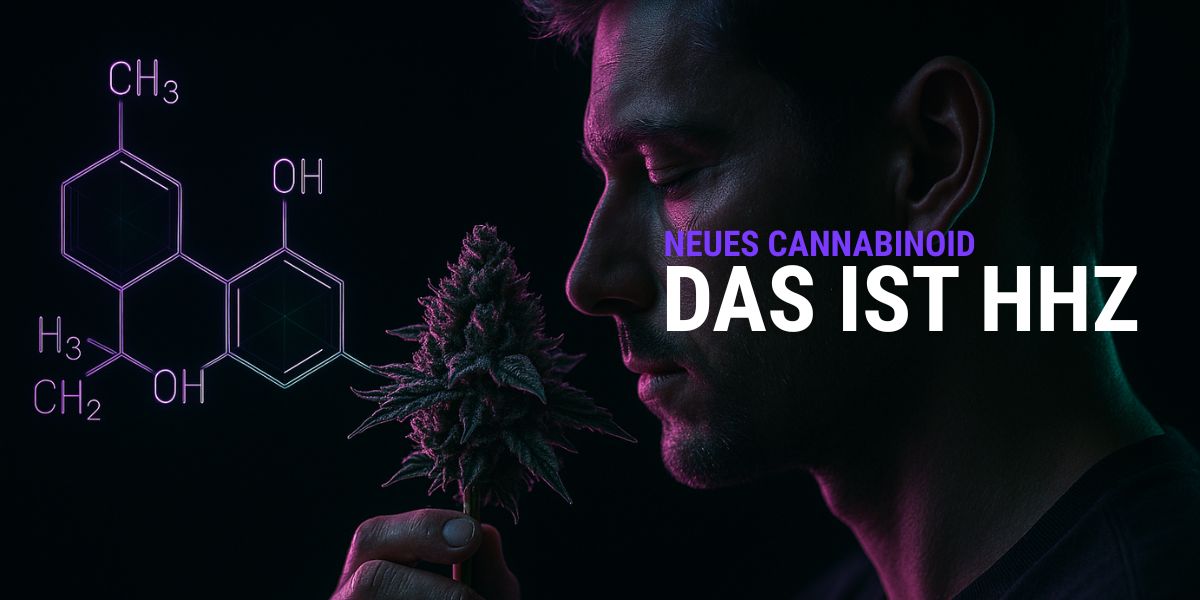 HHZ Wirkung - Das neue Cannabinoid wirkt!