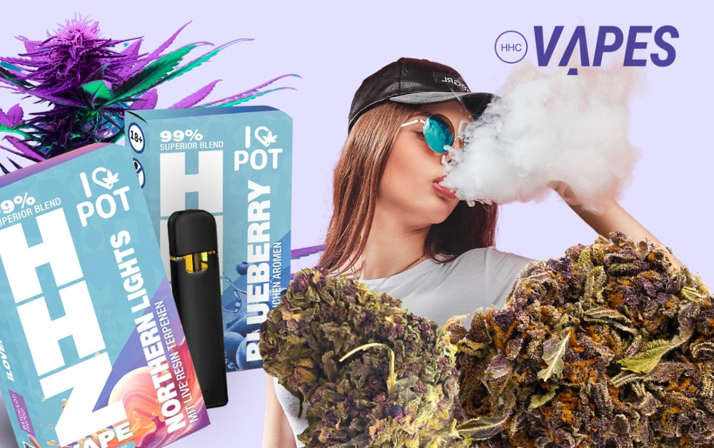 Static Hash – Qualität, THC-Gehalt & Unterschiede zu Dry Sift